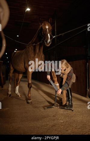 Young woman making horses hoof manicure, filing and shaping horseshoe ...