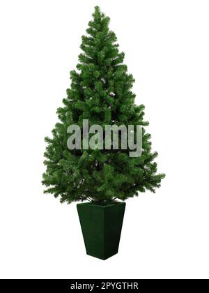 Real Christmas tree, isolated on white background Stock Photo - Alamy