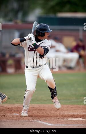 Roch Cholowsky (13) of the Hamilton Huskies during a 6A Premier ...