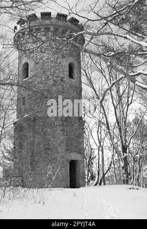 A grayscale shot of the tower Stock Photo - Alamy