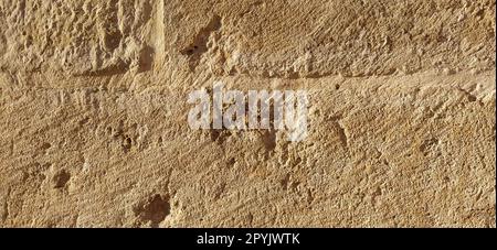 Beautiful sandstone, compacted sand. Stone texture on an old marble ...