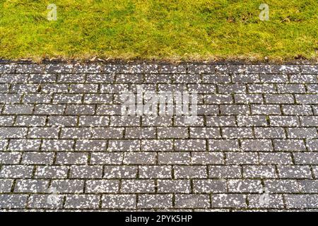 Green Diagonal abstract stylish background for design. Stylish ...