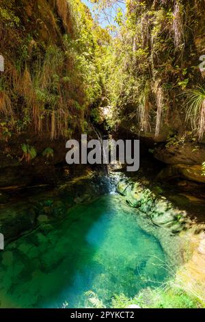 Rain forest waterfall, Madagascar wilderness landscape Stock Photo - Alamy