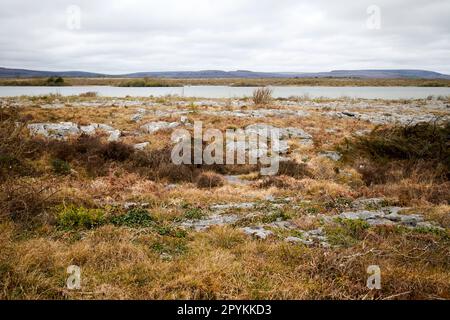 disappearing turlough temporary lake in the burren after heavy rainfall ...