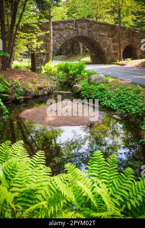 Schoodic Loop Road, Acadia National Park, Maine Stock Photo - Alamy