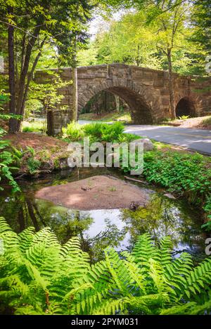 Schoodic Loop Road, Acadia National Park, Maine Stock Photo - Alamy