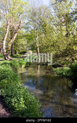 A Beautiful section of the River Dour, as it runs through Kearsney ...