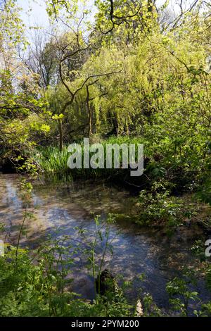 A Beautiful section of the River Dour, as it runs through Kearsney ...