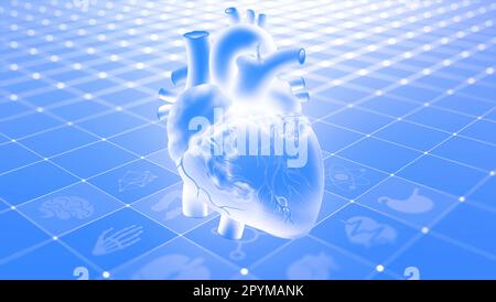 Digital model of human heart. Modern technologies in cardiology ...