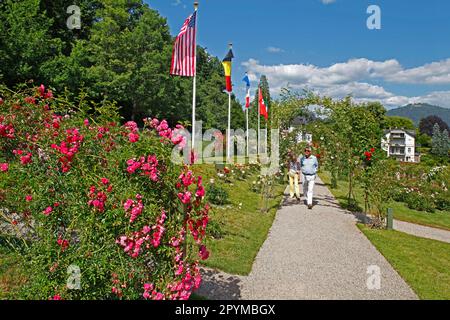 Rose garden Beutig Stock Photo - Alamy