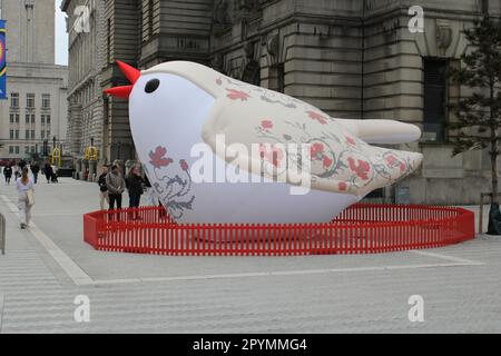Soloveiko Songbird the national bird of Ukraine for Eurovision 2023 in ...
