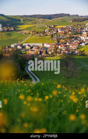 view of Biglen in Emmental during spring Stock Photo - Alamy