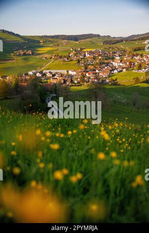 view of Biglen in Emmental during spring Stock Photo - Alamy
