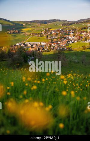 view of Biglen in Emmental during spring Stock Photo - Alamy