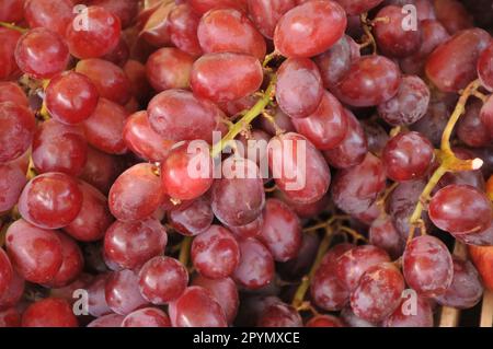 Copenhagen /Denmark/04 May 2023/ Grapes and strawbwry fruit vendor in ...