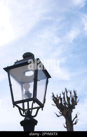 An old style lamp post with heavily pruned old tree Stock Photo - Alamy
