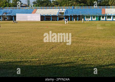 small kids playing cricket in stadium playground in india Stock Photo ...