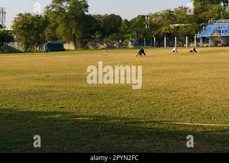 small kids playing cricket in stadium playground in india Stock Photo ...