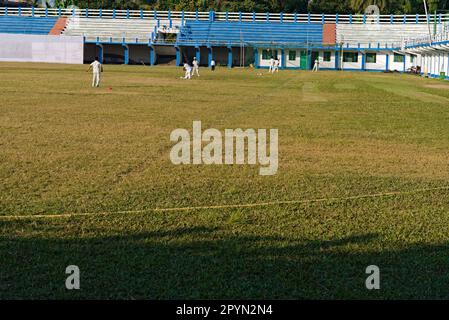 small kids playing cricket in stadium playground in india Stock Photo ...