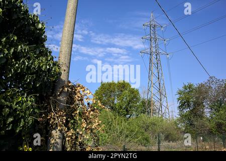 Electricity pylons framed by trees with the sky as background Stock ...