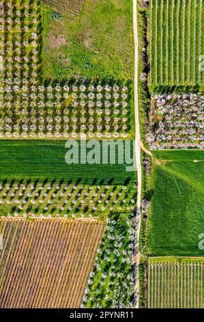 Fields at the great plains of Thessaly, somewhere between Deleria and ...
