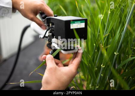 Scientis using a dedicated specialty device for measuring the ...