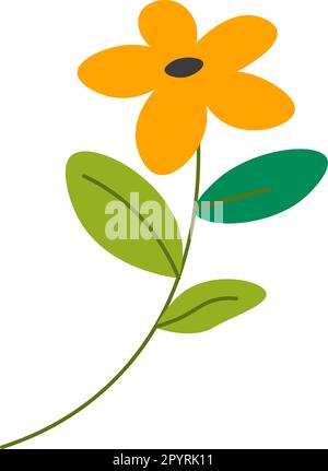 Blooming wildflower, botany decor florist art Stock Vector Image & Art ...