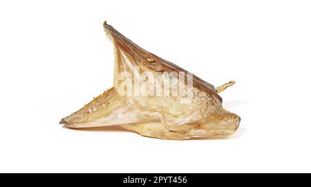 Dried pike head isolated on white background. Pike head with open mouth ...