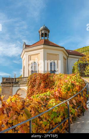 Belvedere Pavillion des Weingutes Schloss Wackerbarth im Herbst ...