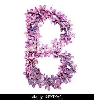 The letter X made of lilac flowers. Square photo with white background ...