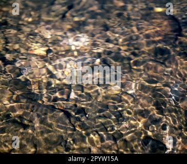 Close up shallow stream with clear water concept photo Stock Photo - Alamy
