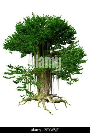 3D rendering of a banyan tree isolated on white background Stock Photo ...