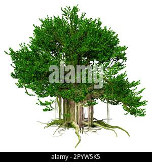 3D rendering of a banyan tree isolated on white background Stock Photo ...