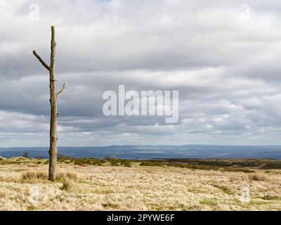 The Three-forked Pole, Hoar Edge, Clee Hill Common, Shropshire. A ...