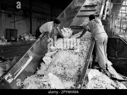 DEU , GERMANY : Waste paper is being processed by workers in a ...