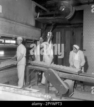 Employees of the industrial bakery Wittler Brot preparing dough. After ...