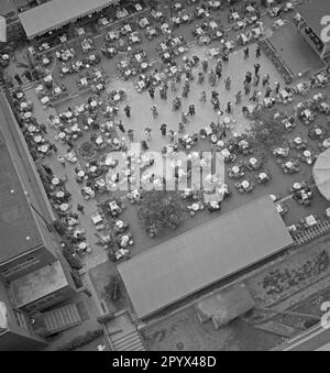 Undated photo of the garden of Cafe Europa, House of Europe ...