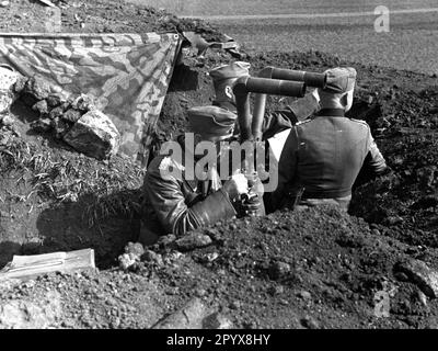 Entrance in the covered trench Stock Photo - Alamy