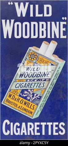 old packet of woodbine cigarettes Stock Photo - Alamy