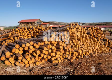 industria de la madera, Cabrejas del Pinar, Soria, Comunidad Autónoma ...