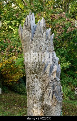 Dead tree with a standing trunk or monolith with deep coronet cuts on ...