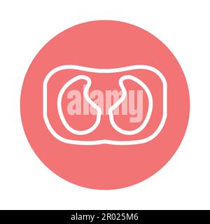 Ct scan icon outline vector. Magnetic resonance. Medical mri color flat ...