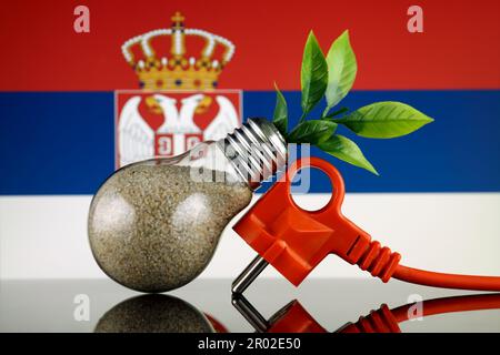 Plug, plant growing inside the light bulb and Lebanon Flag. Green eco ...