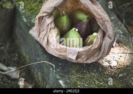 Fresh ripe figs collected from the fig tree in summer on an Italian ...