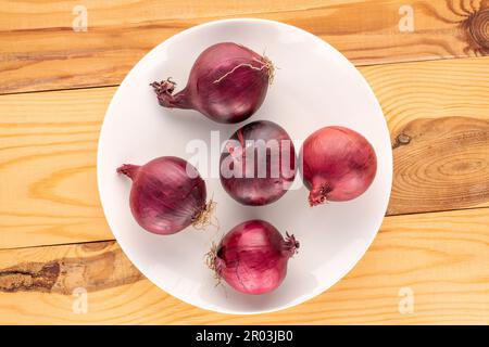 Several organic blue onions with white ceramic plate on black ...