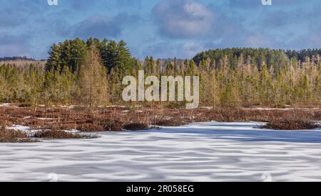 Signs of spring on a wilderness lake in the Chequamegon National Forest ...