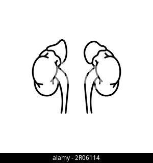 Addison’s or Cushing’s syndrome black line icon. Autoimmune diseases ...