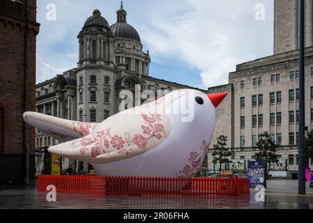 The Soloveiko Songbirds represent different regions of Ukraine and are ...