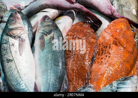 Freshly caught fish is sold at the fish market Stock Photo - Alamy