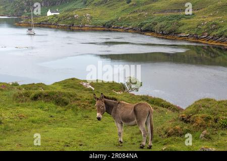 Loch Stockinish Panorama, Harris, Isle of Harris, Hebrides, Outer ...